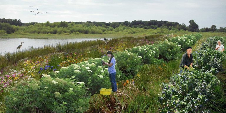 Two Pond Farm - Garden Design, Conservation, Restoration, Green Roof
