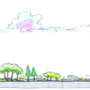 Agroforestry Planning | Big Small Farm Master Plan