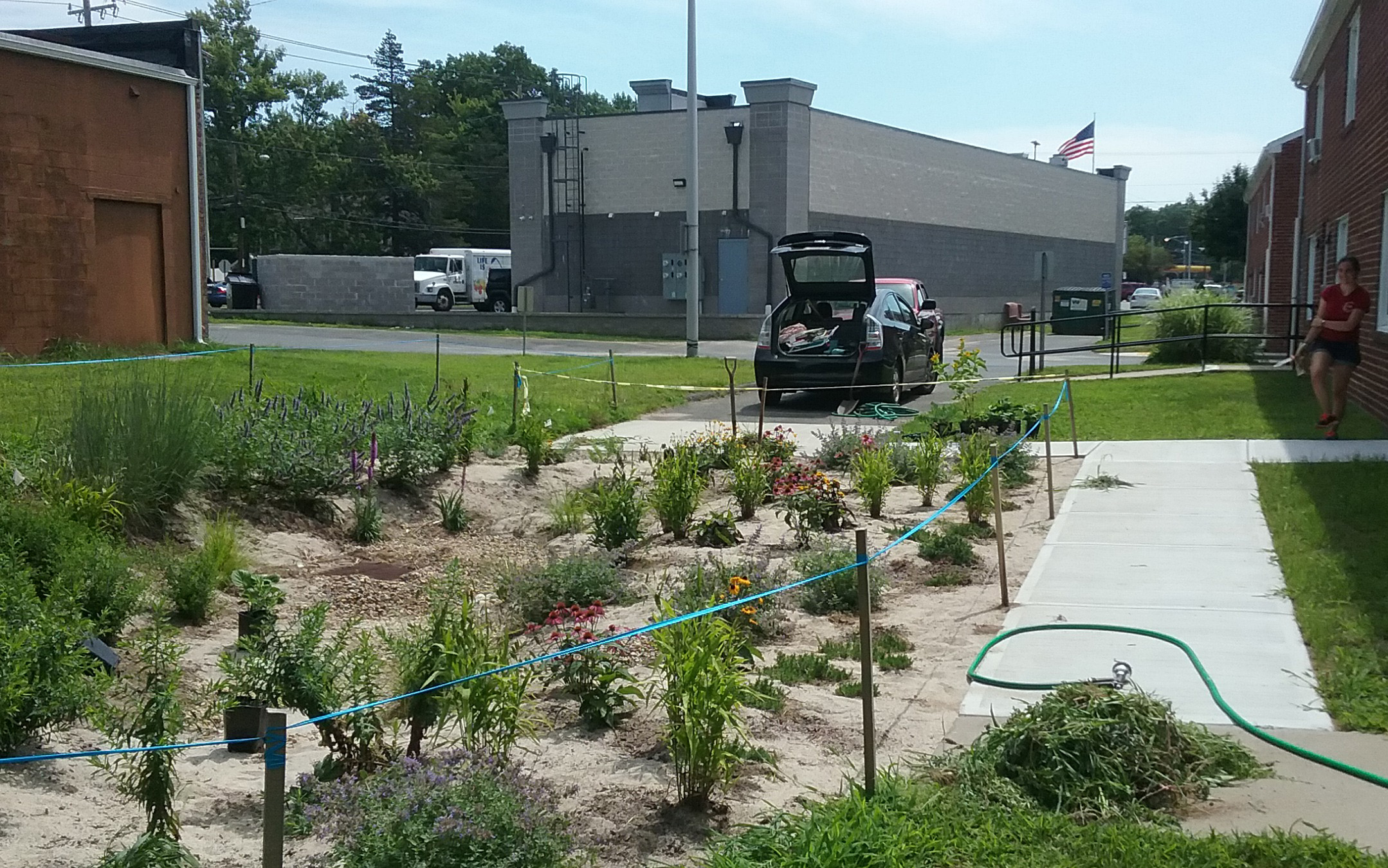 Rain Gardens in Springfield, MA - Regenerative Design Group