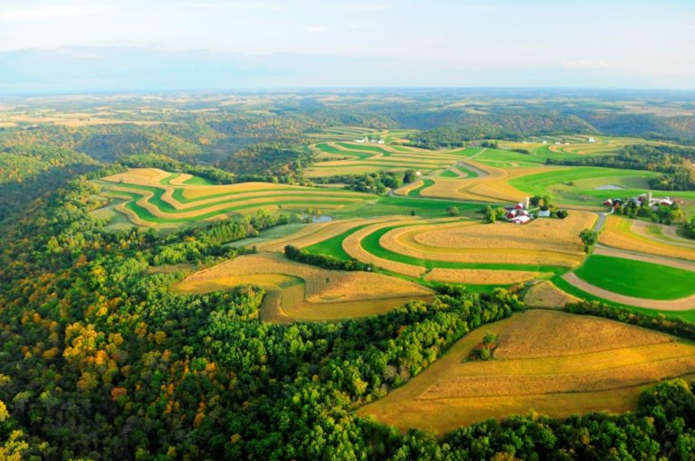 Restoring Land with Regenerative Agriculture - Jono Neiger