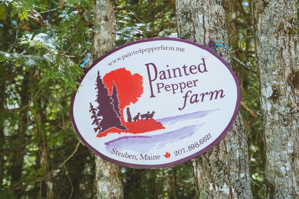 Blog - Regenerative Design Group